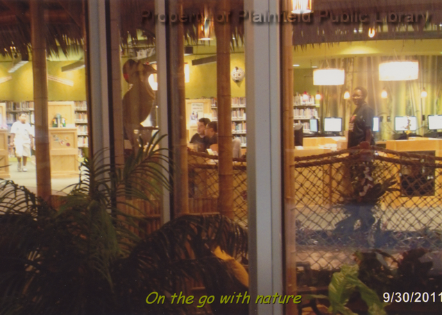 2011 Photo Contest - Plainfield Public Library